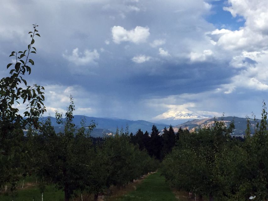 From Portland: Mt Hood, Hood River Valley and Columbia Gorge - Exploring the Itinerary in Detail