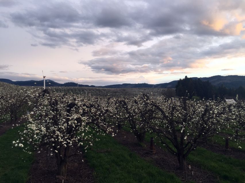 From Portland: Mt Hood, Hood River Valley and Columbia Gorge - FAQ