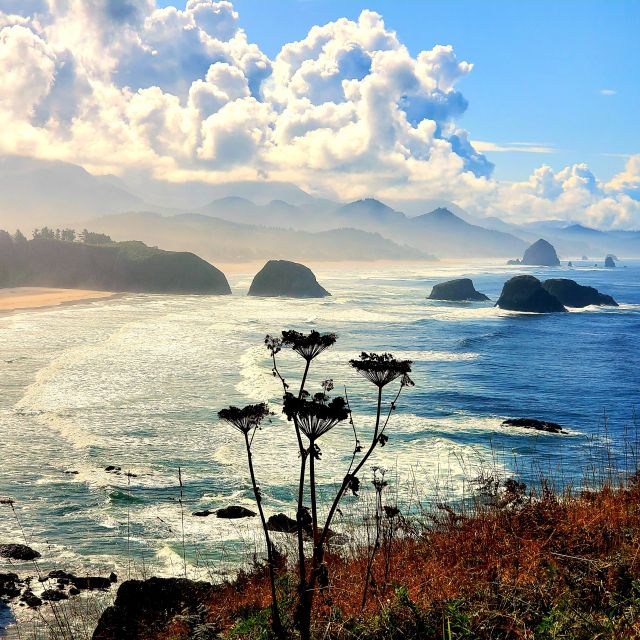 From Portland: Oregon Coast Adventure Day Tour with Pickup - Introduction to the Oregon Coast Adventure Tour