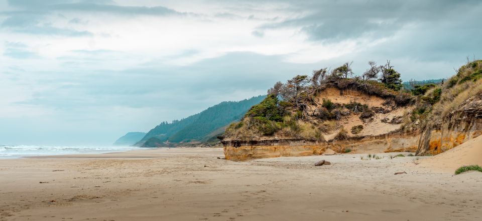 From Portland: Oregon Coast Day Trip Cannon Beach Area - Who Is This Tour Best For?