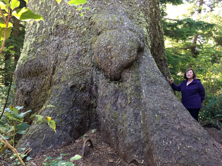 From Portland: Oregon Coast Day Trip to Three Capes Loop - Who Should Consider This Tour?