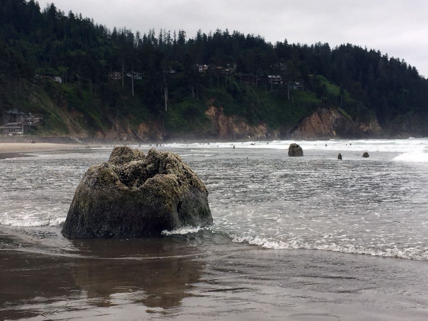 From Portland: Oregon Coast Day Trip to Three Capes Loop - The Sum Up  