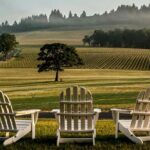 From Portland Private Willamette Valley Wine Tour - The Experience of Transportation and Group Size