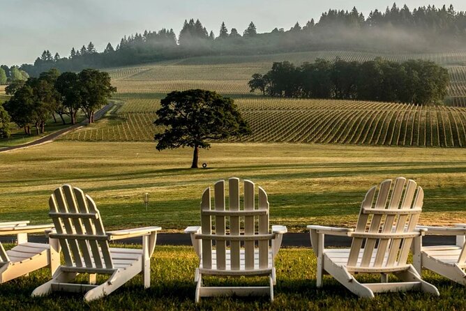 From Portland Private Willamette Valley Wine Tour - The Experience of Transportation and Group Size