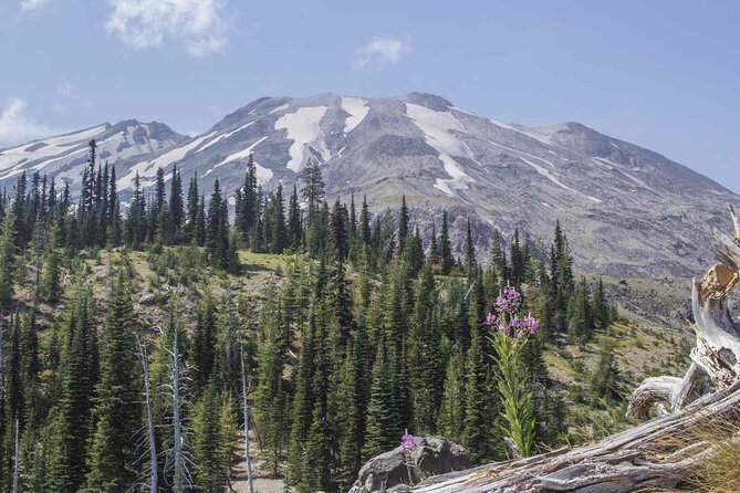 From Portland to Mt. Saint Helen Tour in a small group - Exploring the Portland to Mount St. Helens Small Group Tour: A Balanced Look