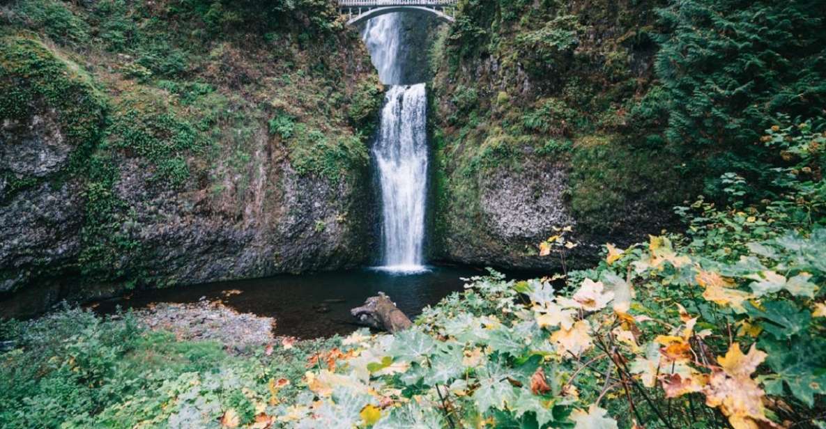 From Portland: Waterfalls, Mt Hood, and Wine Day Tour - Wineries: Sipping Oregon’s Best