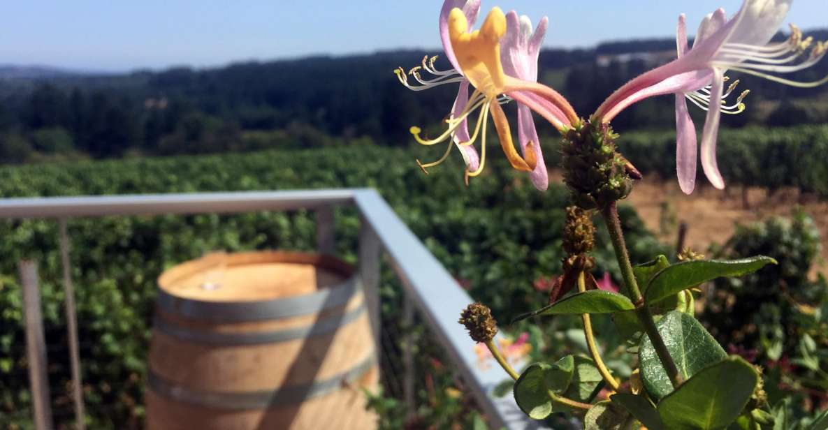 From Portland: Willamette Valley Character Wineries - Exploring the Willamette Valley: A Thoughtful Review of the Character Wineries Tour from Portland