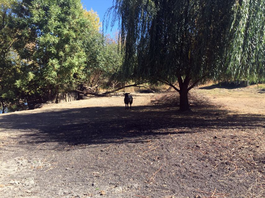 From Portland: Willamette Valley Character Wineries - The Itinerary: A Closer Look