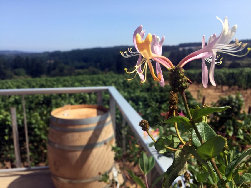 From Portland: Willamette Valley Character Wineries - The Experience: What Sets It Apart