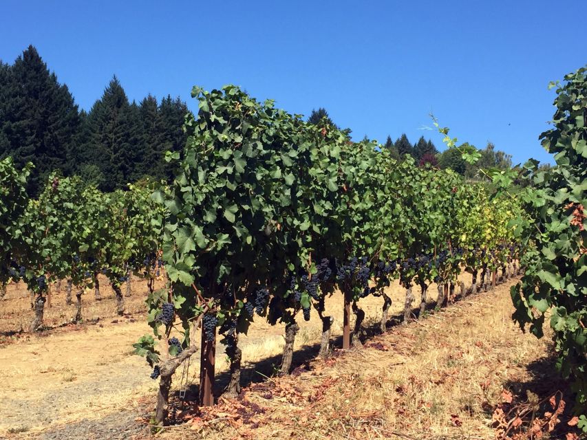 From Portland: Willamette Valley Character Wineries - Value and Cost Analysis