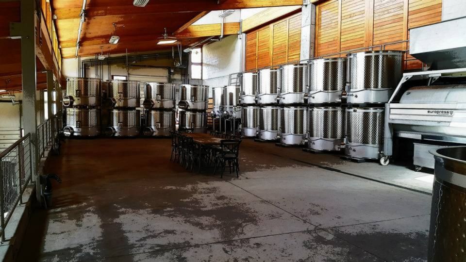From Portland: Willamette Valley Full-Day Wine Tour - What You Need to Know Before Booking