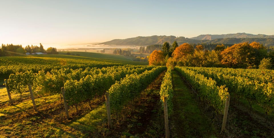 From Portland: Willamette Valley Wine Tasting Tour - FAQ