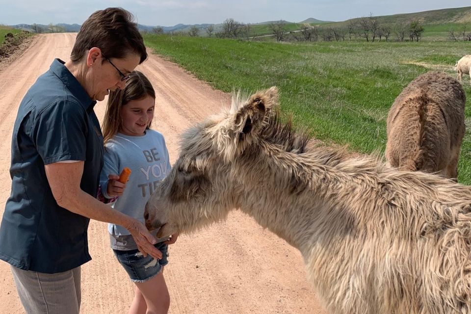 From Rapid City: Custer State Park Private Safari and Hiking - The Journey Begins: From Rapid City to Custer State Park
