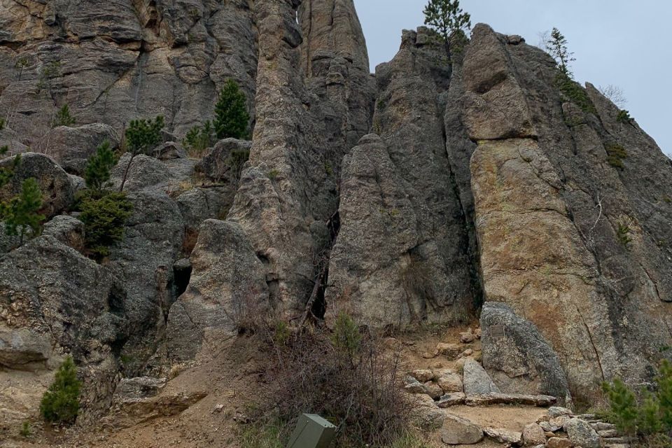 From Rapid City: Custer State Park Private Safari and Hiking - Feeding the Burros: A Heartwarming Moment