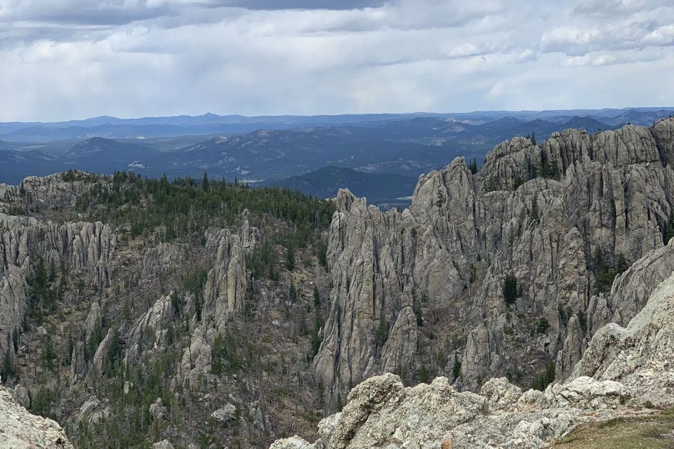 From Rapid City: Custer State Park Private Safari and Hiking - Lunch at Custer State Game Lodge