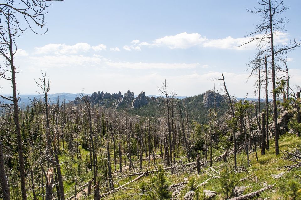From Rapid City: Custer State Park Private Safari and Hiking - What’s Included and What to Bring