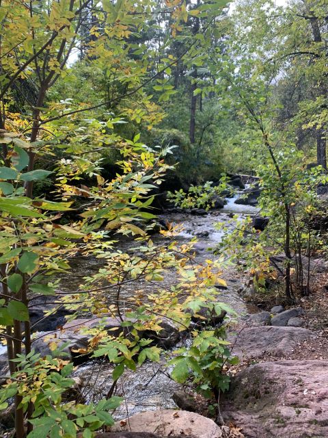 From Rapid City: Private Spearfish Canyon Tour - Who Should Consider This Tour?