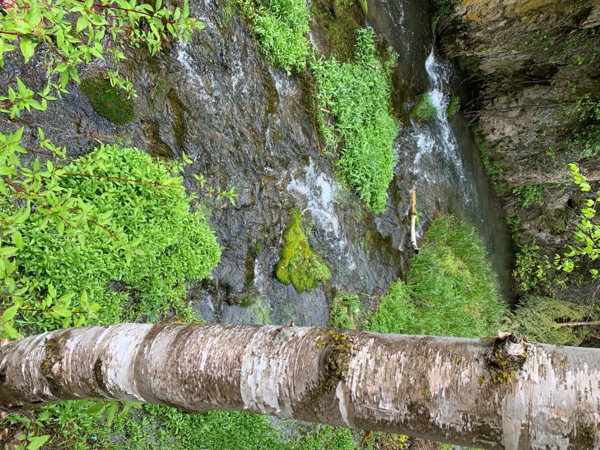 From Rapid City: Private Spearfish Canyon Tour - Practical Tips for Your Spearfish Canyon Adventure