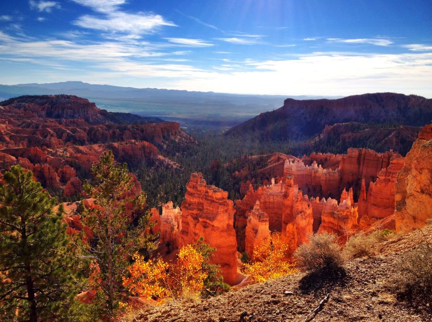 From Salt Lake City: Yellowstone and Tetons Parks in 4 Days - An In-Depth Look at the 4-Day Wyoming Wilderness Tour  