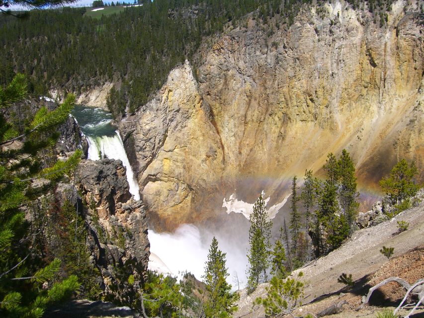 From Salt Lake City: Yellowstone and Tetons Parks in 4 Days - What the Reviews Tell Us  