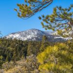 From San Diego: Two-Day Camping and Hiking Adventure in Idyllwild - Practical Tips for the Trip