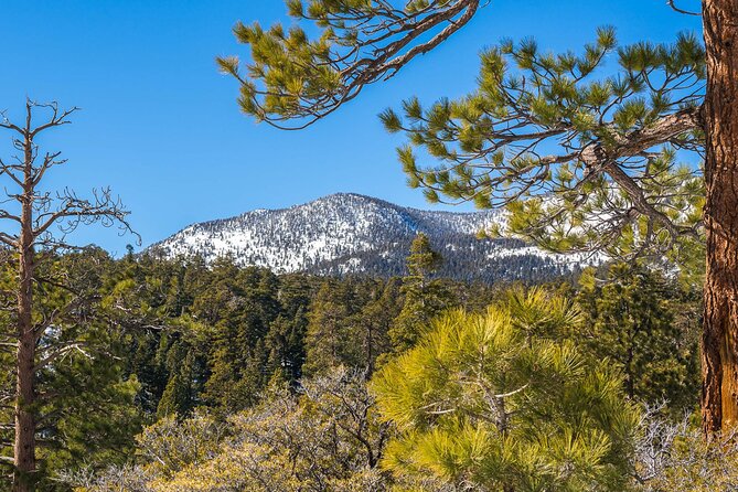 From San Diego: Two-Day Camping and Hiking Adventure in Idyllwild - Practical Tips for the Trip