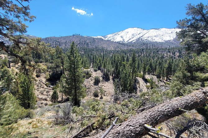 From San Diego: Two-Day Kayaking & Hiking at Big Bear Lake - An In-Depth Look at the Experience