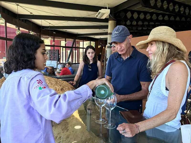 From San Diego: Valle de Guadalupe Private Wine Tasting Tour - The Breakdown of the Experience