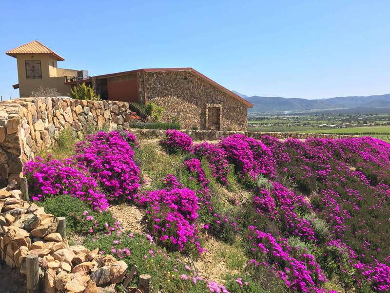 From San Diego: Valle de Guadalupe Private Wine Tasting Tour - Who Will Love This Tour?