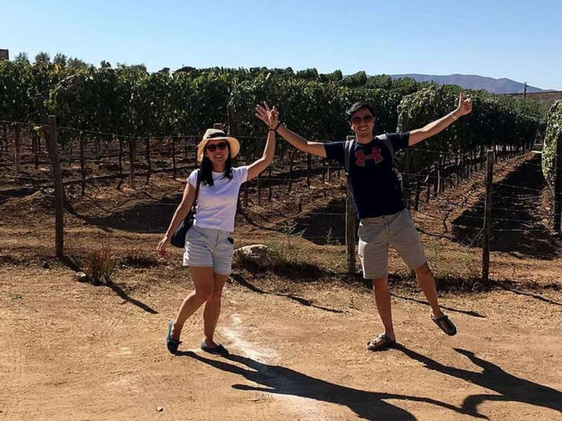 From San Diego: Valle de Guadalupe Private Wine Tasting Tour - The Bottom Line
