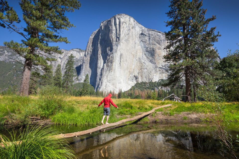 From San Francisco: 2-Day Yosemite Guided Trip with Pickup - Experience Overview: What You Can Expect on This Tour
