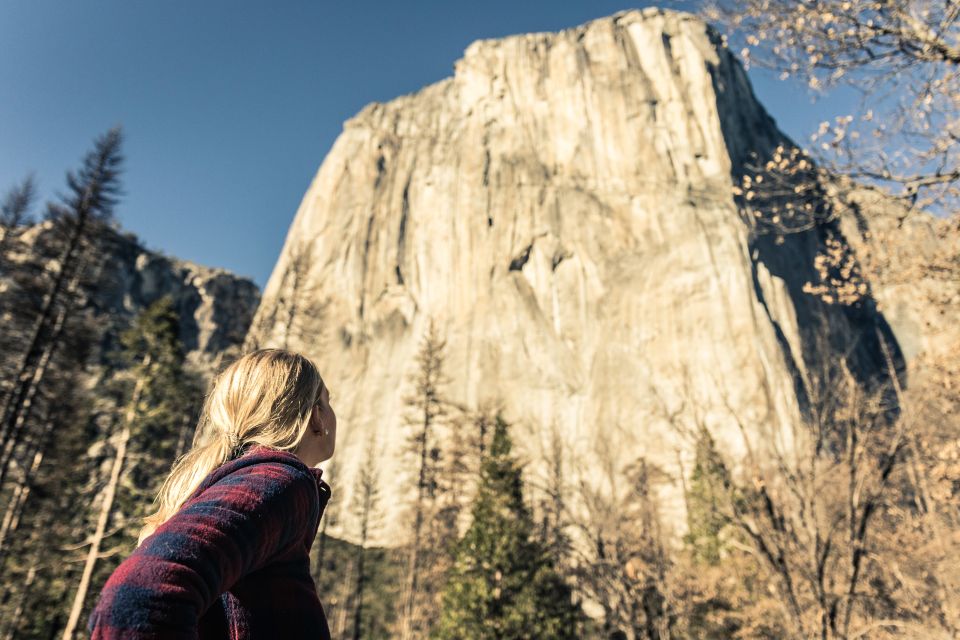 From San Francisco: 3-Day Yosemite Tour Without Hotel - An Honest Look at the Yosemite 3-Day Tour