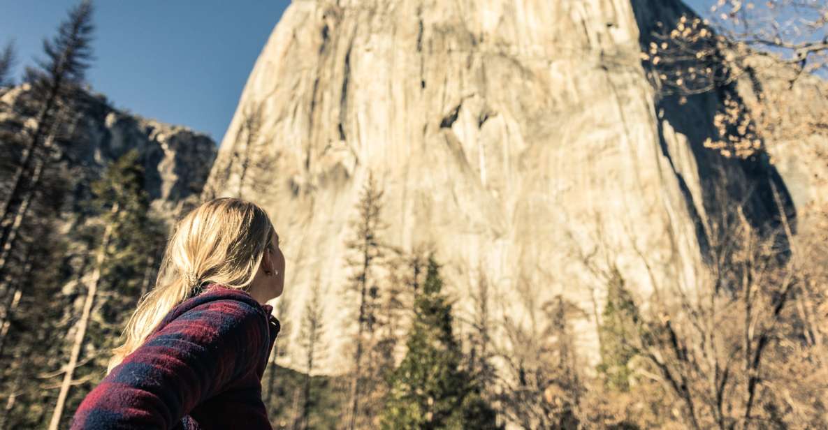 From San Francisco: 3-Day Yosemite Tour Without Hotel - Who Is This Tour Best For?