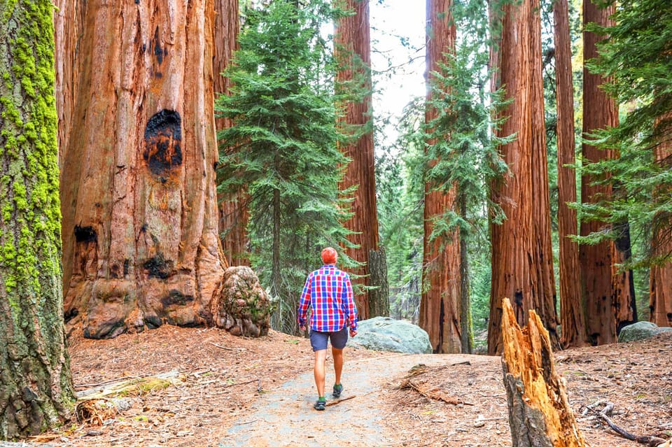 From San Francisco: Alcatraz Night Tour, Muir Woods and Wine - FAQs