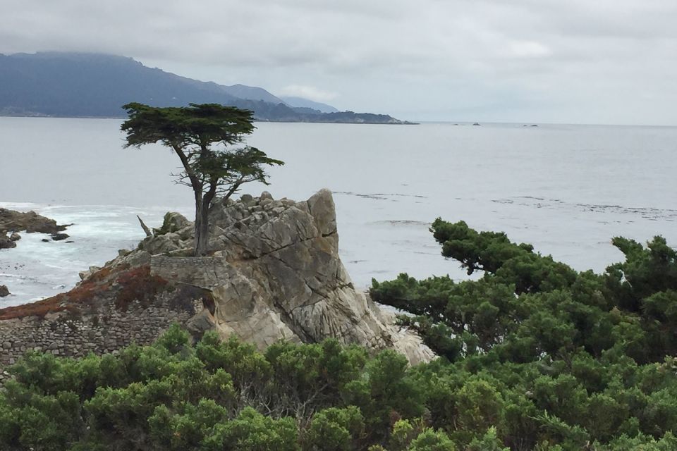 From San Francisco: Carmel, Monterey & Big Sur Private Tour - Why This Tour Is a Smart Choice