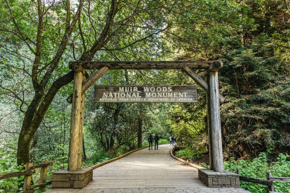 From San Francisco: Guided Muir Woods Tour - An Honest Look at the Guided Muir Woods Tour