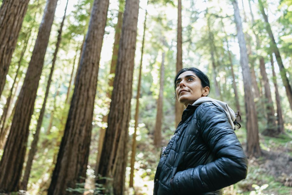 From San Francisco: Guided Muir Woods Tour - Value and Practicalities