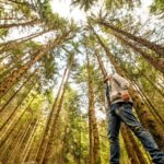 From San Francisco: Guided Tour to Muir Woods - Transportation and Group Size