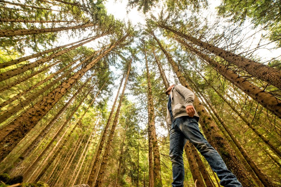 From San Francisco: Guided Tour to Muir Woods - Transportation and Group Size