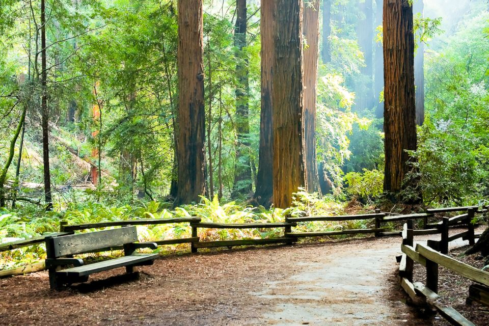 From San Francisco: Guided Tour to Muir Woods - FAQ