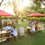 From San Francisco: Half-Day Wine Aficionado Tour with Tastings - What Sets This Tour Apart?