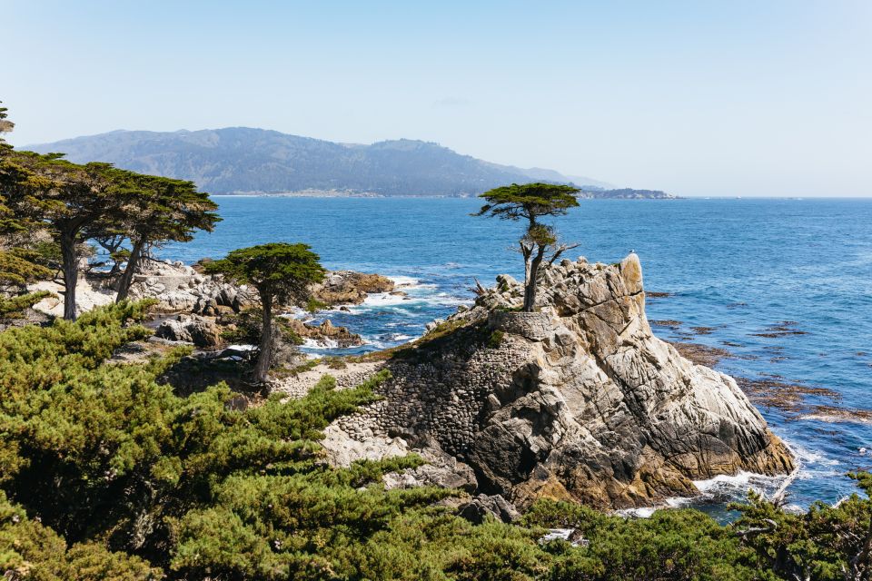 From San Francisco: Monterey and Carmel Day Tour - The Experience in Detail