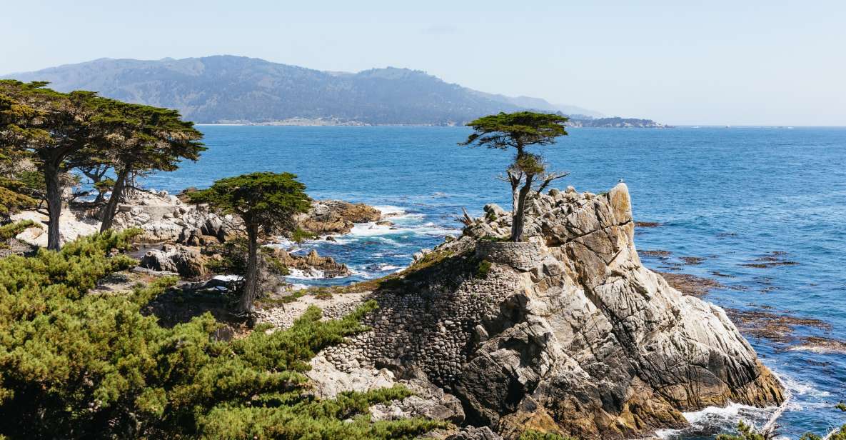 From San Francisco: Monterey and Carmel Day Tour - What Sets This Tour Apart
