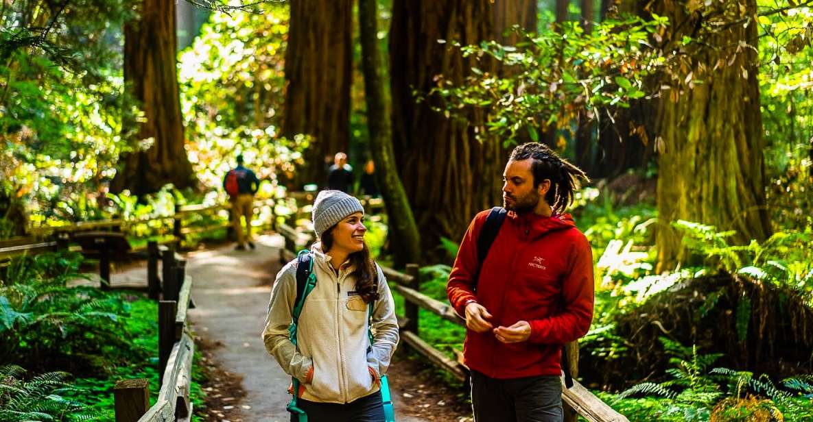From San Francisco: Muir Woods and Sausalito Half-Day Trip - The Itinerary: What to Expect on the Tour