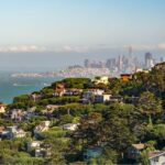From San Francisco: Muir Woods and Sausalito Half-Day Trip - The Value of the Tour