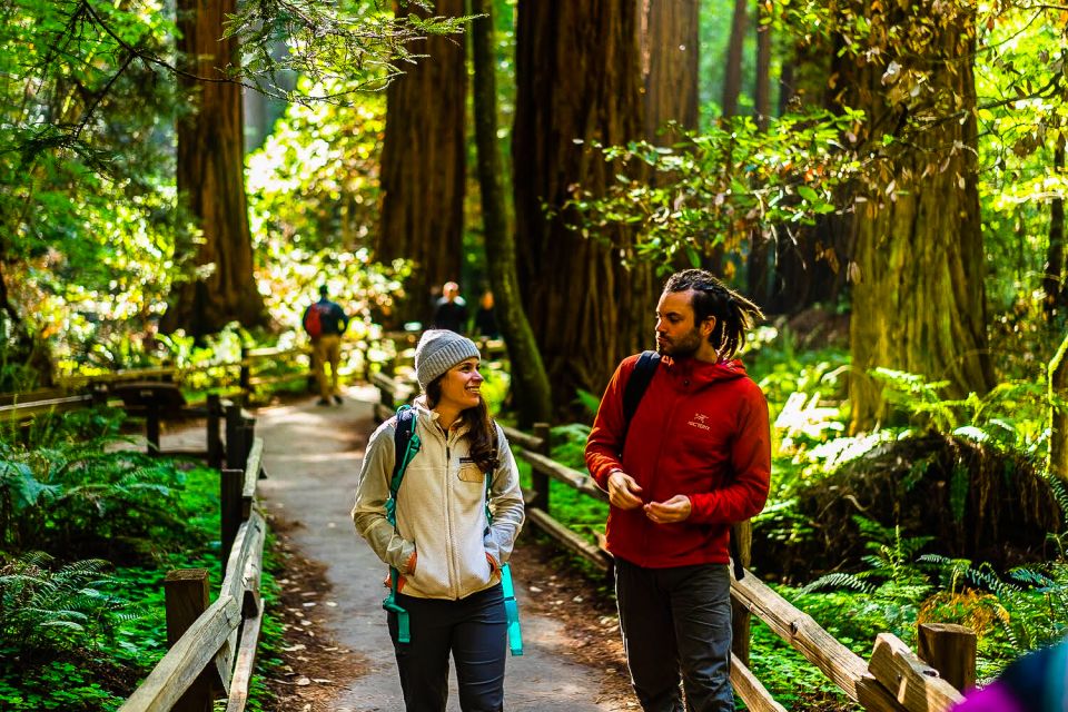 From San Francisco: Muir Woods and Sausalito Half-Day Trip - Final Thoughts: Who Will Love This Tour?