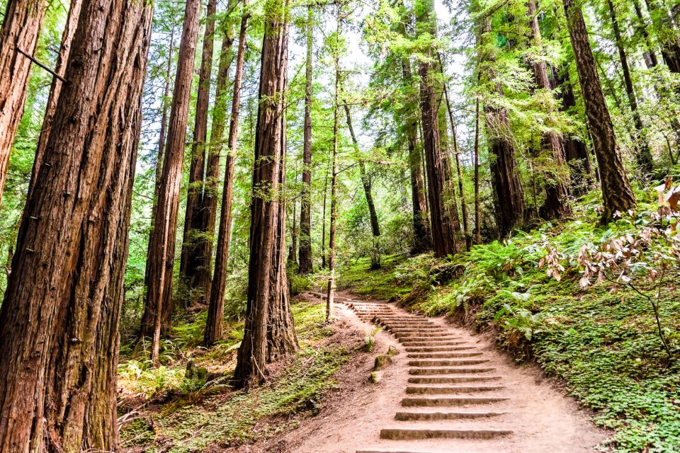 From San Francisco: Muir Woods and Sausalito Half-Day Trip - FAQs