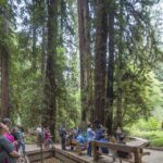 From San Francisco: Muir Woods, Sausalito and Alcatraz Tour - The Value of the Tour