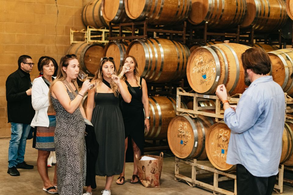From San Francisco: Napa & Sonoma Valley Full-Day Wine Tour - Exploring the California Wine Country in Comfort and Style