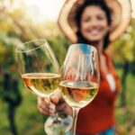 From San Francisco: Napa & Sonoma Valley Wine Tour with Tastings - Who Is This Tour Best For?